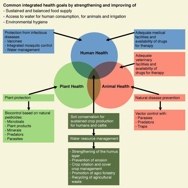About us | Infonet Biovision Home.